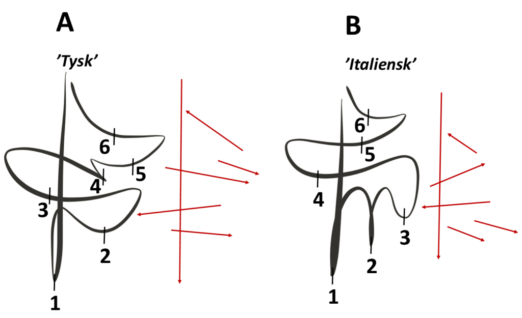 Grundlæggende slagskemaer – KORLEDELSE